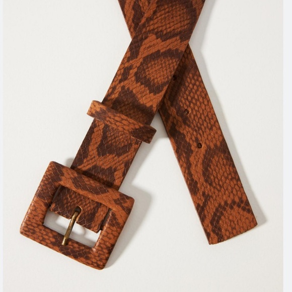 Anthropologie | Accessories | Anthropologie Ada Kelly Square Snake Belt ...
